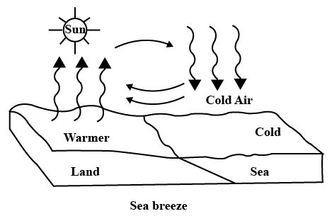 What Are The Land And Sea Breezes Explain Their Formation