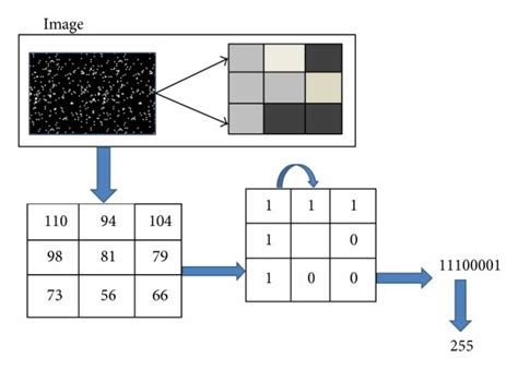 architecture of local binary pattern download scientific diagram