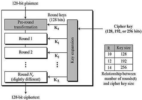 a des encryption algorithm b 3des encryption algorithm download scientific diagram