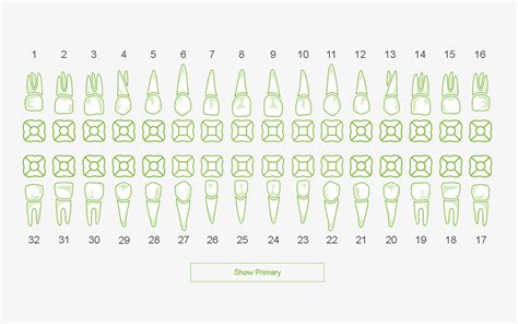 Printable Tooth Surface Chart