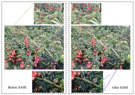 remote sensing free full text precision detection of dense litchi fruit in uav images based