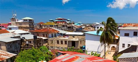 Zanzibar ville Activités estivales le MEILLEUR de 2024