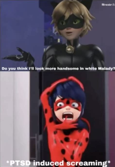 Pin By Percy Jackson On Miraculous Ladybug Miraculous Ladybug Memes