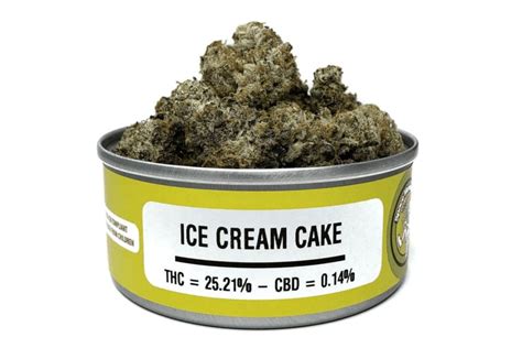 Exploring The Ice Cream Cake Strain Going Beyond Flavours
