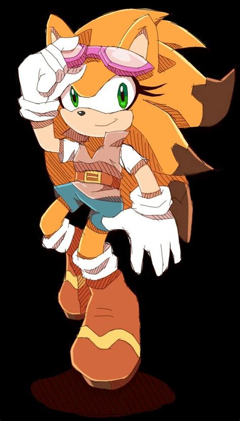 Paula The Hedgehog Sonic Fan Characters Sonic Heroes Sonic Art