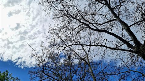 Jutarnja Temperatura 8C Maksimalna Dnevna 20C POPORTAL