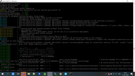 spring boot docker mysql cant connect springboot app to mysql database in docker container