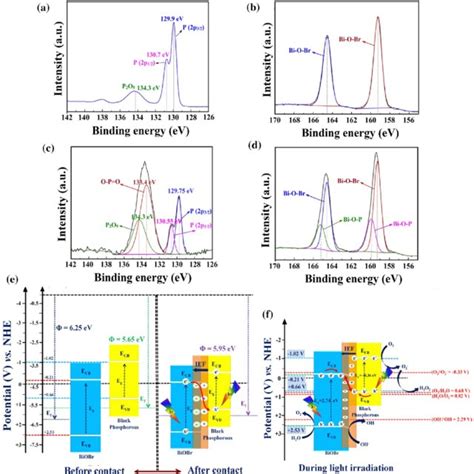 High Resolution X Ray Photoelectron Spectroscopy Xps Survey Spectra