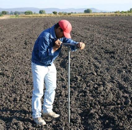 Estadio Muy Agradable Son Herramientas Para Sembrar Maiz Pasto Fan Tico
