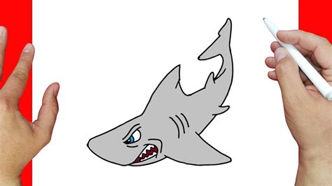 Como Dibujar Un Tiburon Facil Dibujos F Ciles Youtube