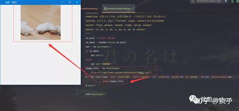 tkinter 标签组件 label 知乎