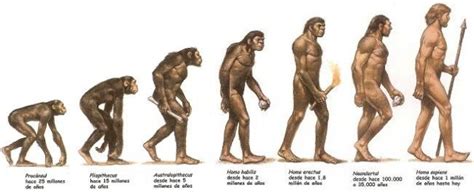 Origen y evolucion del Hombre Venelogía