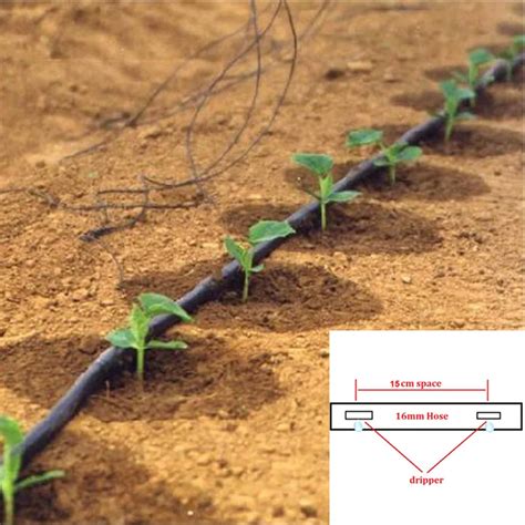 China Manufacturer 1 Hectare Model Agriculture Drip Irrigation Tape