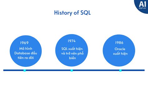 what is sql beginner guide to the sql language clarusway 60 off