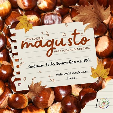 Magusto de São Martinho 2025 em Correlhã