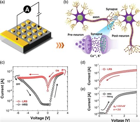 interface type memristive device pushes neuromorphic computing onward news
