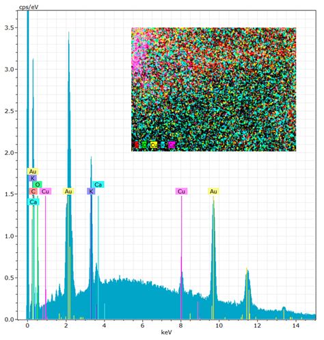 Polymers Free Full Text Biopolymeric Delivery Systems For Cosmetic