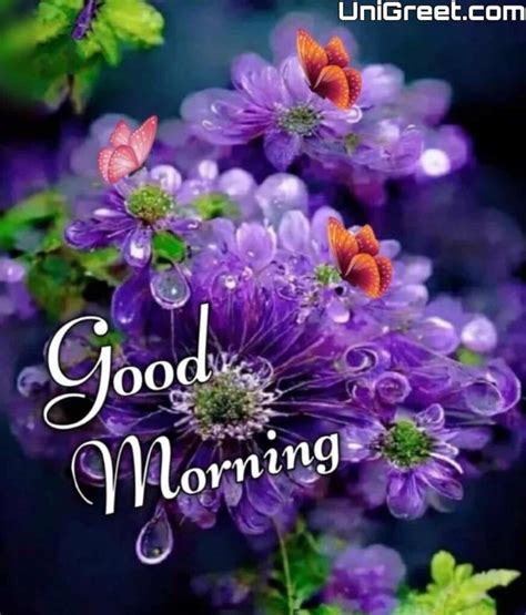 Ultimate Collection Of Top 999 Good Morning Images For WhatsApp