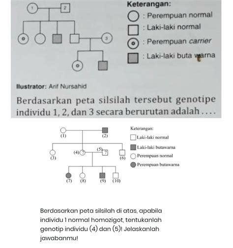 Tolong Bantu Jawab Brainly Co Id