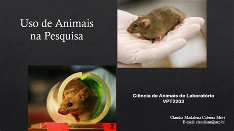 Abschnitt Aula 1 Uso de Animais em Pesquisa VPT2203 Ciência de
