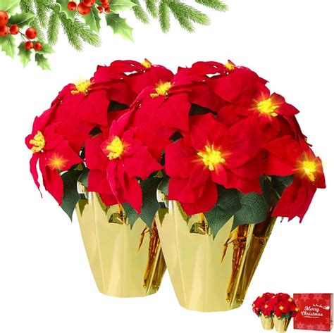 Amazon HOMESEASONS 2 Pack Large Outdoor 18 Pre Lit Christmas