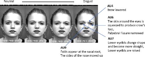 figure 5 from facial expression recognition based on facial action unit semantic scholar