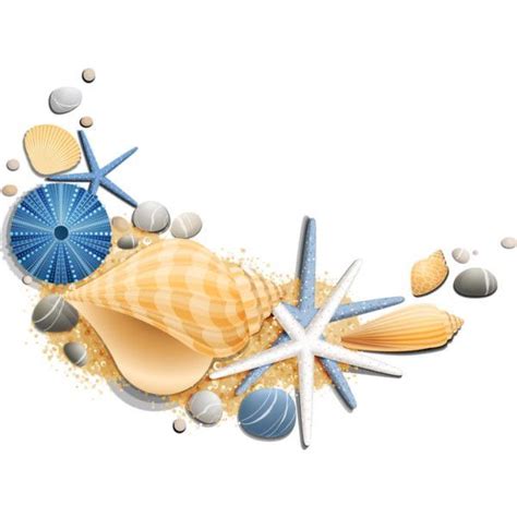Pin By April Williams On 1 Business Project Ideas In 2024 Sea Life