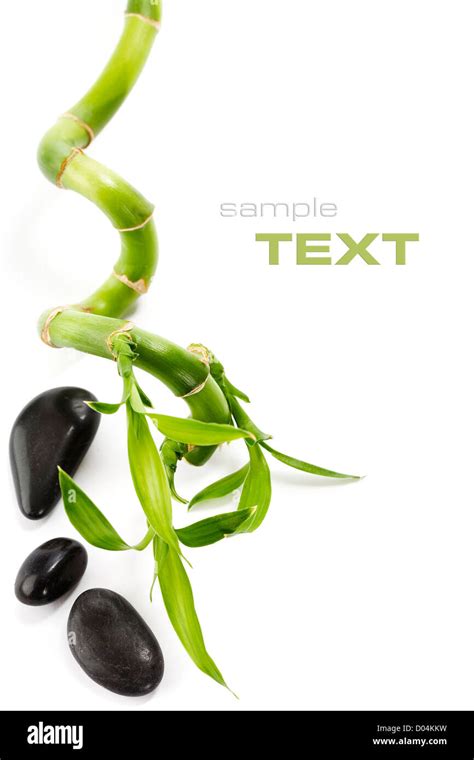 Spa Still Life Stock Photo Alamy