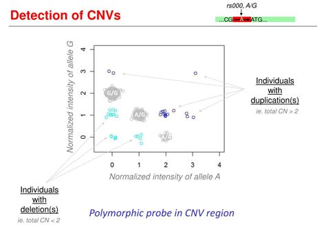 ppt copy number variants detection and analysis powerpoint presentation id 3412924