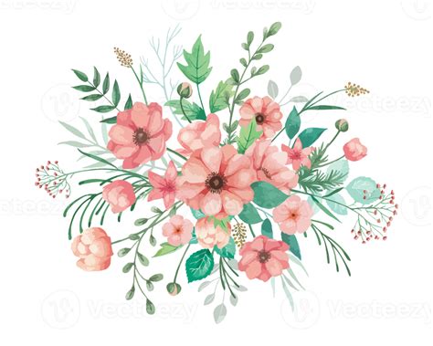 aquarellkorallenanemone blüht blumenstraußillustration 11098193 PNG
