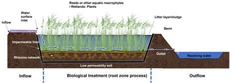 Water Treatment Wetland Design At Margaret Galvez Blog