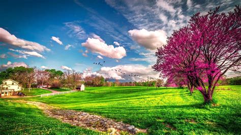 Los Espectaculares Fondos De Pantalla De Paisajes De Primavera Una