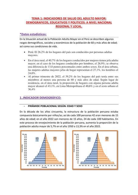Indicadores De Salud En El Adulto Mayor Grecia Alvarez UDocz