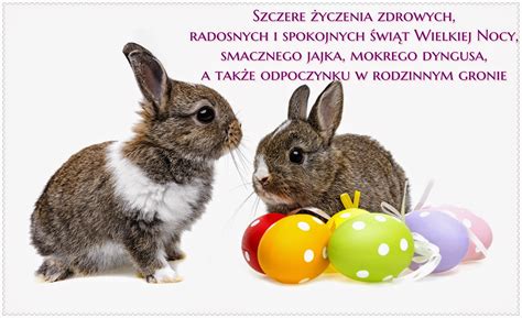Gify Smacznego Jajka 2 Gify I Obrazki Na GifyAgusi Pl