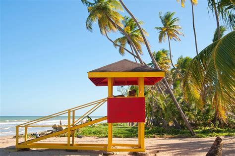 Best Beaches In Trinidad And Tobago Artofit