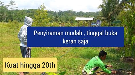 Cara Instalasi Pengairan Kebun Durian Mudah Dan Sangat Efektif
