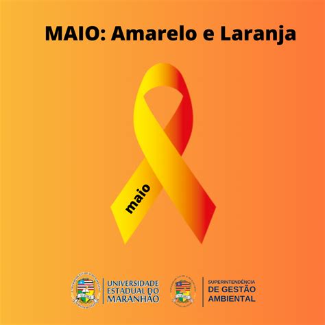 AGA Superintendência de Gestão Ambiental MAIO AMARELO E LARANJA