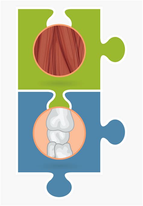 Uterine Vessels Musculoskeletal Key