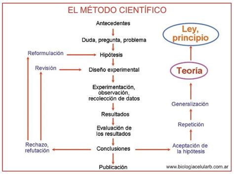 Biologia HIPOTESIS TEORIA Y LEY