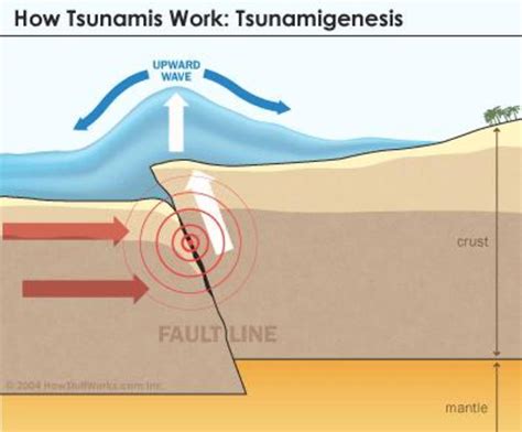 Causes Of Tsunamis