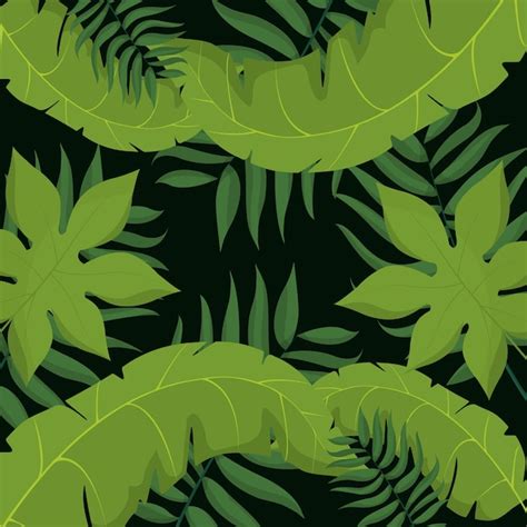 Fundo De Folhas Tropicais Vetor Premium
