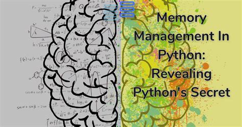 Memory Management In Python Revealing Python S Secret Python Hub