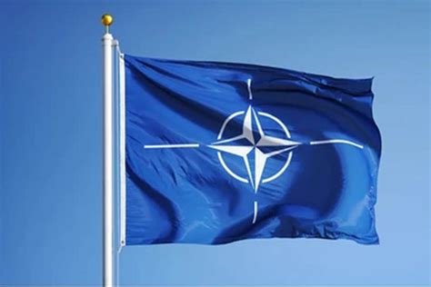 Daftar Negara Anggota NATO Swedia Di Urutan Ke 32