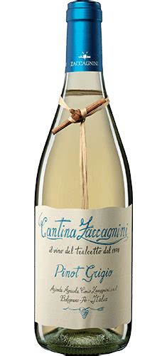10 Best Pinot Grigio Wines From Italy 2023 You Must Try