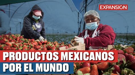 Top 10 de productos MEXICANOS que se EXPORTAN al MUNDO ÚLTIMAS