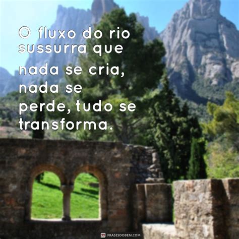 Explorando O Significado Na Natureza Nada Se Cria Nada Se Perde Tudo