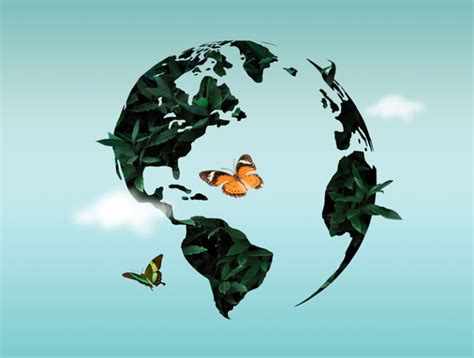 Qu Es Sustentabilidad Cinco Vientos