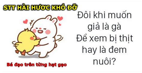 Những câu đùa hài hước sinh nhật a có nhậu không hài hước và những điều