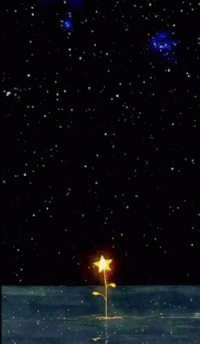Good Night Animated Cool Gifs Animation Discover Views