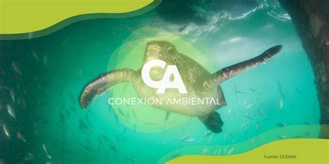 La creación de la Reserva Nacional Mar Tropical de Grau Conexión